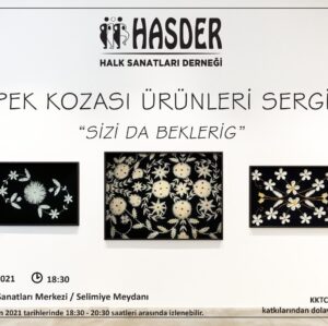 HASDER-HASDER’in İpek Kozası Ürünleri Sergisi